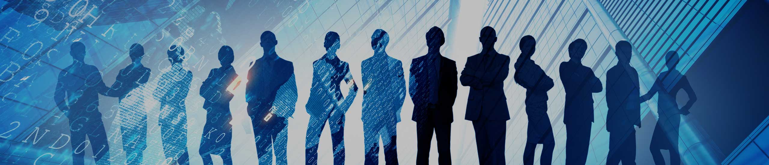 Our People – Ling & Lawyers